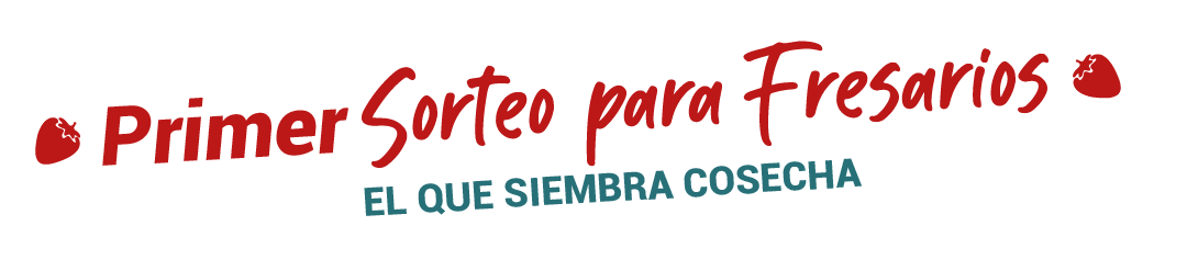 Plantas de Fresa | Proplantas S.A.